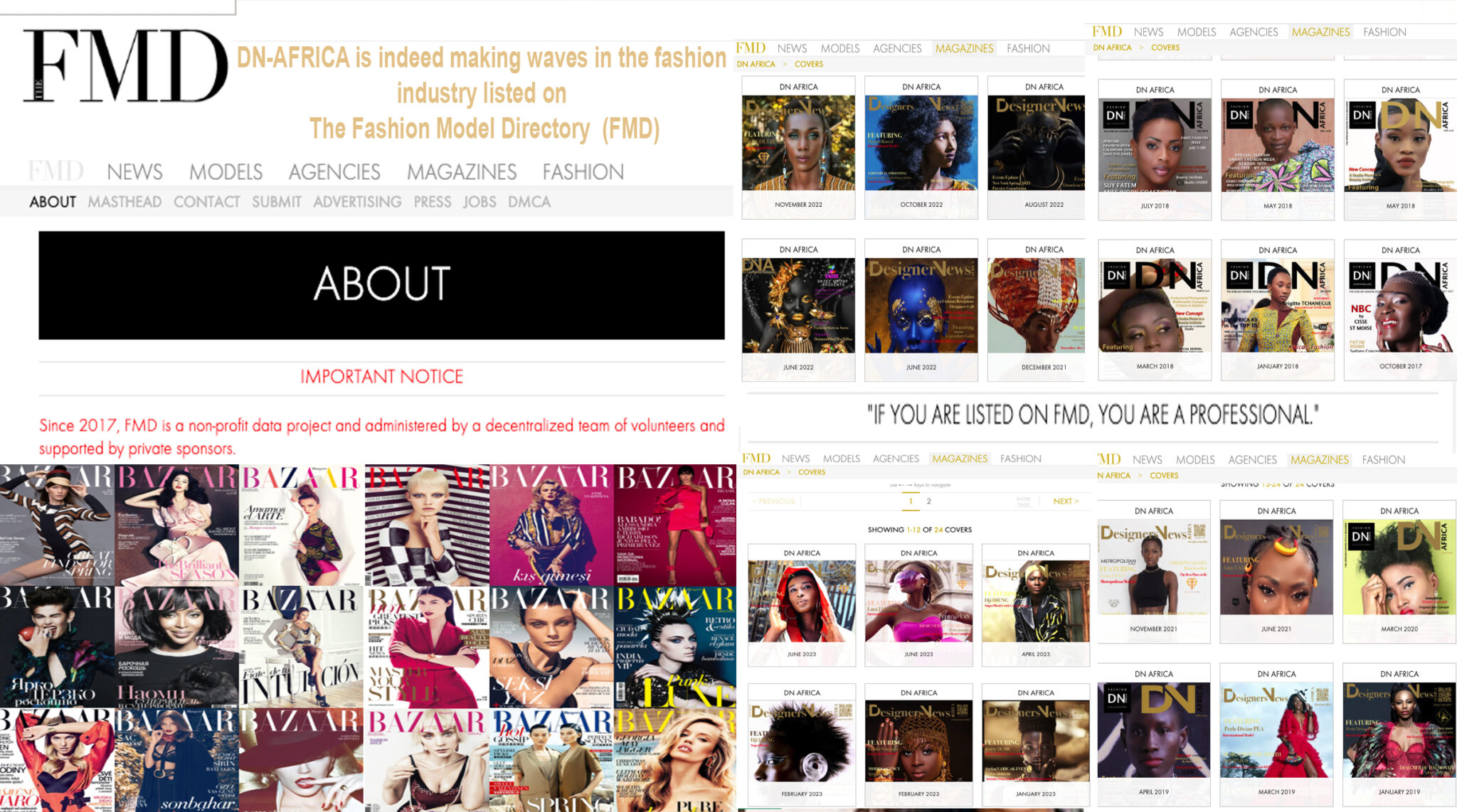 Amy Faye - Senegalese Princess of French fashion - DN-AFRICA Magazine